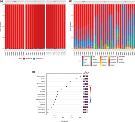 Relative Abundance And Differentially Abundant Yeast Phylotypes At The Download Scientific