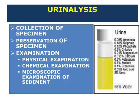 Examination Of Urine Unani Pptx
