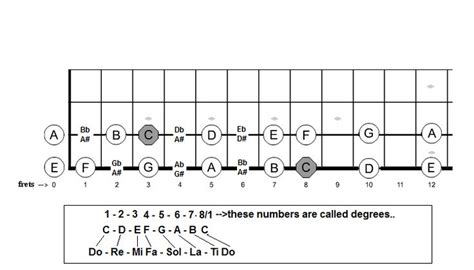 Pin By Beatsbmmusic On Learn Bass Learning Bass Learning Math