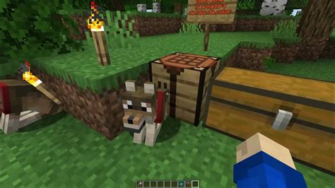 Como Pintar La Armadura De Lobo De Color Cian En Minecraft 1205 Youtube