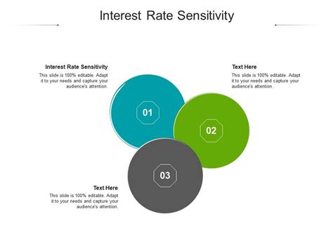 Interest Rate Sensitivity Ppt Powerpoint Presentation Gallery Objects
