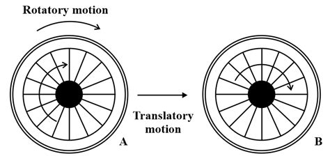 Give Two Examples To Illustrate That A Body Can Have Two Or More Types