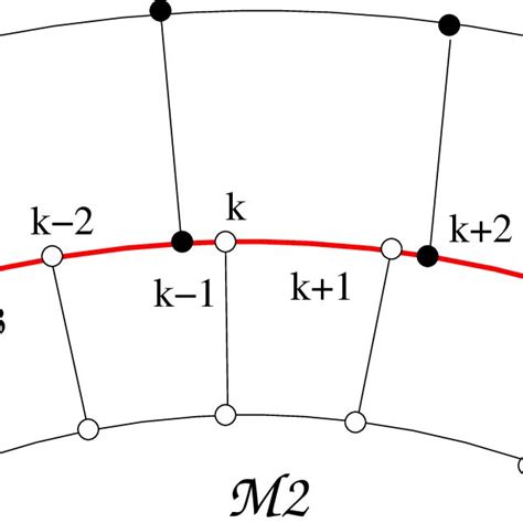 Example Of Meshes Used For The Computation Download Scientific Diagram