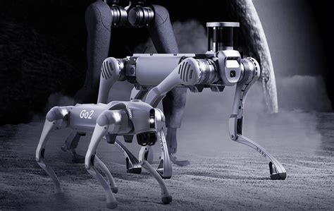 宇树科技引领机器狗革命：三四千元，机器狗将走进千家万户？机器人价格行业