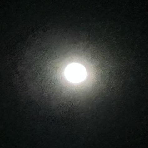 Frizk 3 Lyrics Genius Lyrics