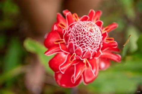 Teen Cutie Liloo W4b Liloo Refresh Yourself 090ポルノ写真 Eporner