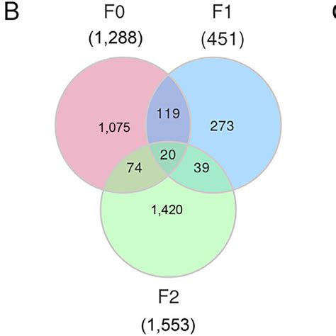 Venn Diagrams Of Dmcs That Overlapped Across Generations Dmcs Overlap
