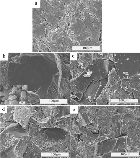 Fracture Surface Microstructure Of Samples With Different Sic Contents