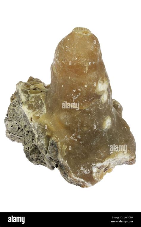 Dripstone From The Danube Valley Germany Isolated On White Background