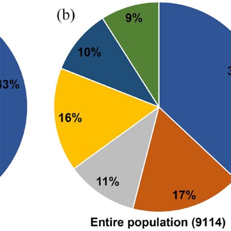 Distribution Of Infarct Location A The Entire Population And B