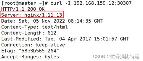 云原生之kubectl命令详解 kubectl get pod csdn博客