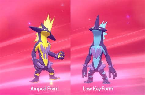 Pokémon Sword And Shield How To Evolve Toxel And The Differences