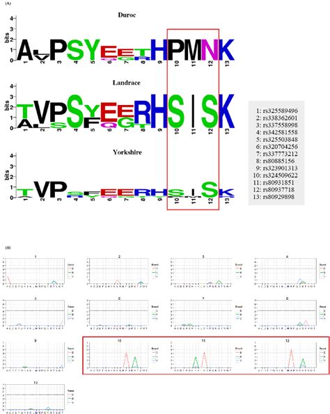 Visualization Of Single Nucleotide Polymorphism Snp Effects On Download Scientific Diagram
