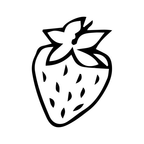 Plaz Dudly 25 St Vector Premium