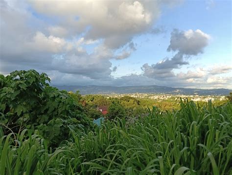 Oppo Reno F G Review Is Ai Enough Of A Selling Point Gadgetmatch