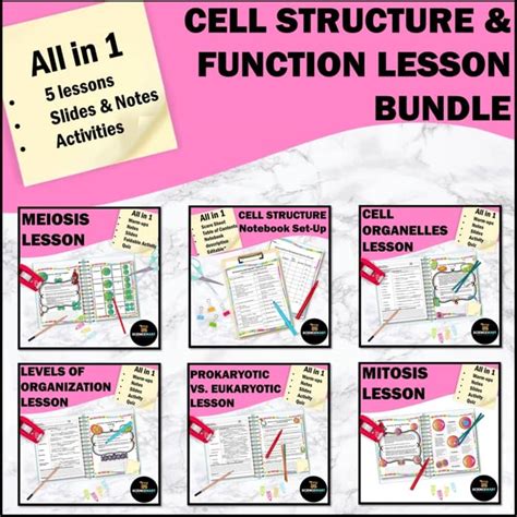 Cell Organelles Structure And Function Notes Slides Activity Cells Lesson Bundle