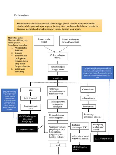 Woc Hemothorax Cisadane 02 Pdf
