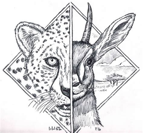Predator And Prey Pen And Ink Drawing By Wendell W Cisco Ii