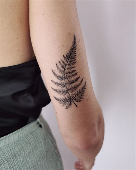 20 Phenomenal Fern Tattoos Thatll Grow Your Ink Inspiration