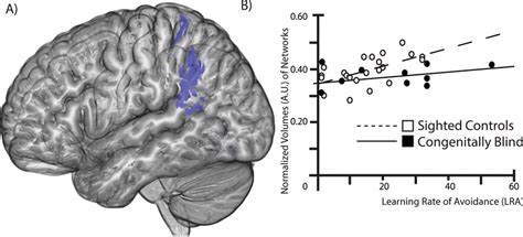 Obstacle Avoidance Is Mediated By The Dorsal Stream Network A