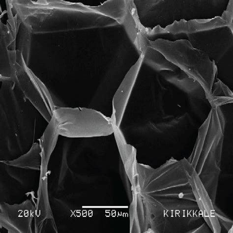 X500 Microstructure Image For The Expanded Polystyrene A 16 Kgm³