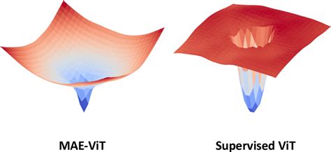 Figure 1 From Visualizing The Loss Landscape Of Self Supervised Vision Transformer Semantic