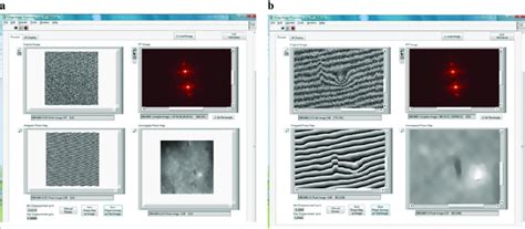 Example Of Stone Sample In A An Interferogram Of The Whole Surface Of