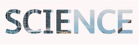 Robert Noack On Linkedin Sciencewillwin Pfizerproud Pfecolleague