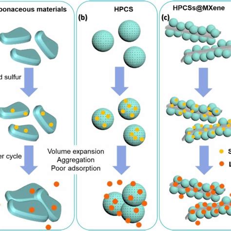 The Schematic Illustration Of Carbonaceous Materials Hpcs And