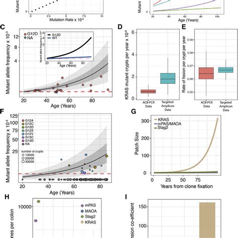Validation Of Clone Dynamics Using Novel Clonal Marks Download