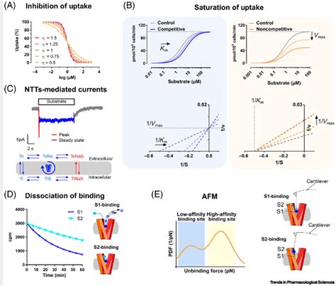 Allosteric Inhibition Graph