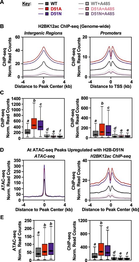 Oncohistone Mutations Occur At Functional Sites Of Regulatory Adp Ribosylation Pmc