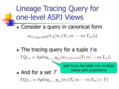 Ppt Practical Lineage Tracing In Data Warehouses Powerpoint