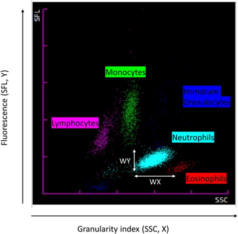 Cell Population Data Parameters As Visualized On The Analyzer Scc