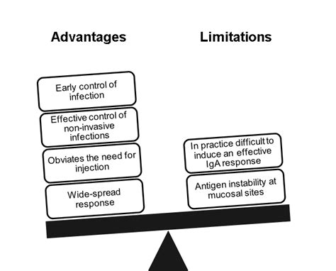 Mucosal Vaccination British Society For Immunology