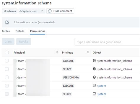 Query Information Schema Under Catalogs From Table Databricks