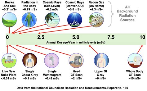 Understanding Radiation Exposure Dose And Health