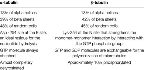 Structural Differences Between α And β Tubulin Modified After Nogales