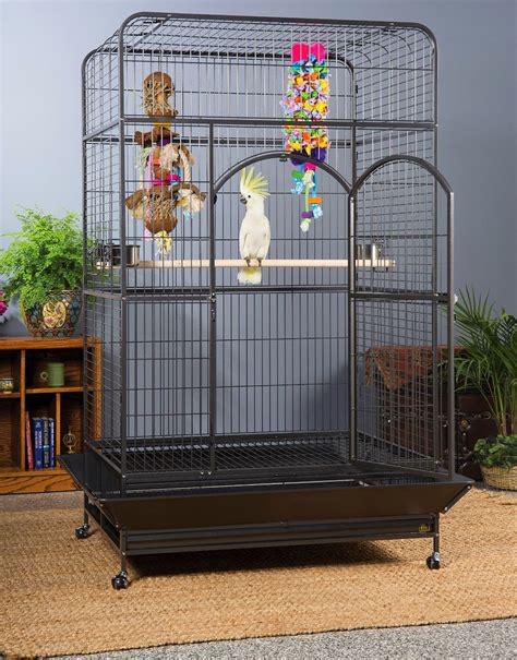 What Are The 5 Correct Elements Of Cages At Russell Chau Blog