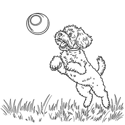 Best Cockapoo Coloring Pages Free Printable Pdf