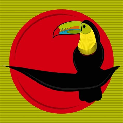 Premium Vector Keelbilled Toucan Bird Vector Art By Fahmibill