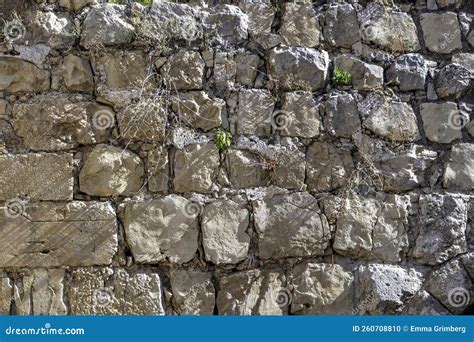 Texture Of Wall Surface Made Of Unevenly Cut Jerusalem Stones Stock