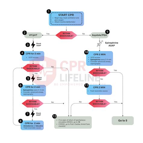 Pals Algorithm New Updated 2025 Aha Guidelines