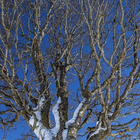 Lucyintheskywithdiamonds That What I See Looking Through The Naked