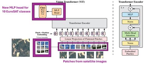 How To Fine Tune A Pretrained Vision Transformer On Satellite Data