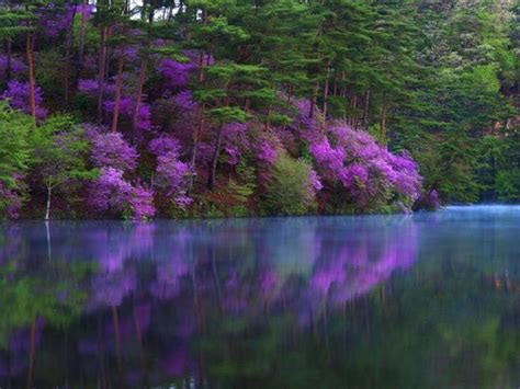 Calm And Peaceful Scenery Beautiful Nature