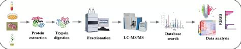 Tmt Vs Dia Which Method Reigns Supreme In Quantitative Proteomics