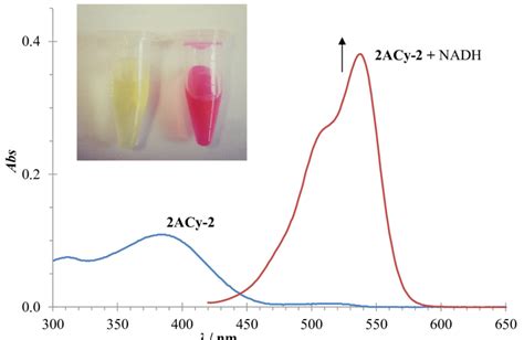 5 Uv Vis Absorption Spectra Of 2acy 2 5 µm In Aqueous Buffer Solution
