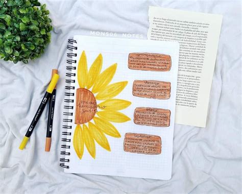 Mapa Cognitivo Tipo Sol