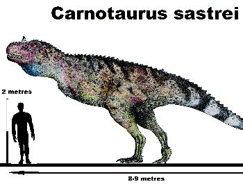 Carnotaurus Size Comparison